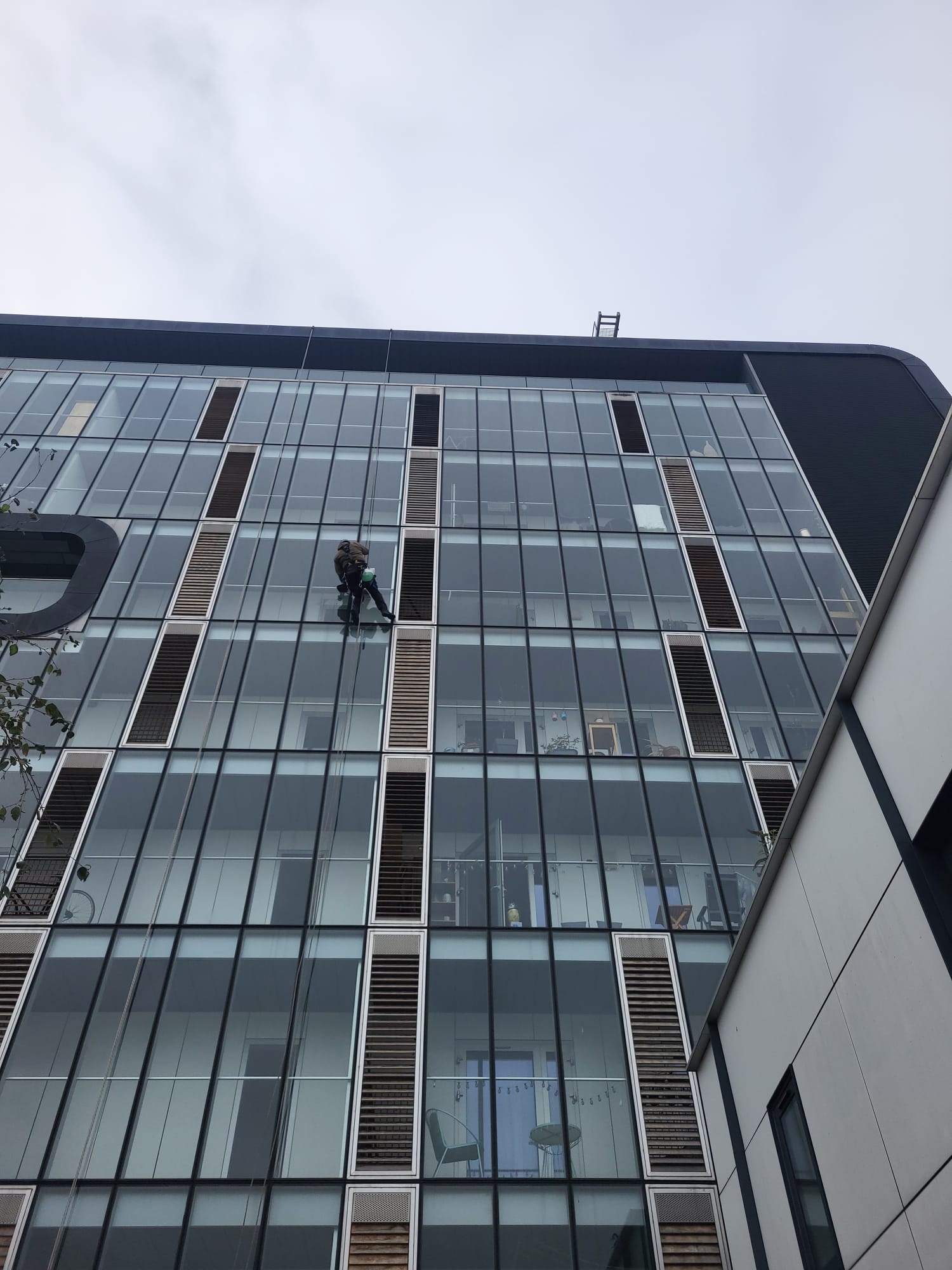 PTSG delivers high-level services at Woolwich Central - PTSG